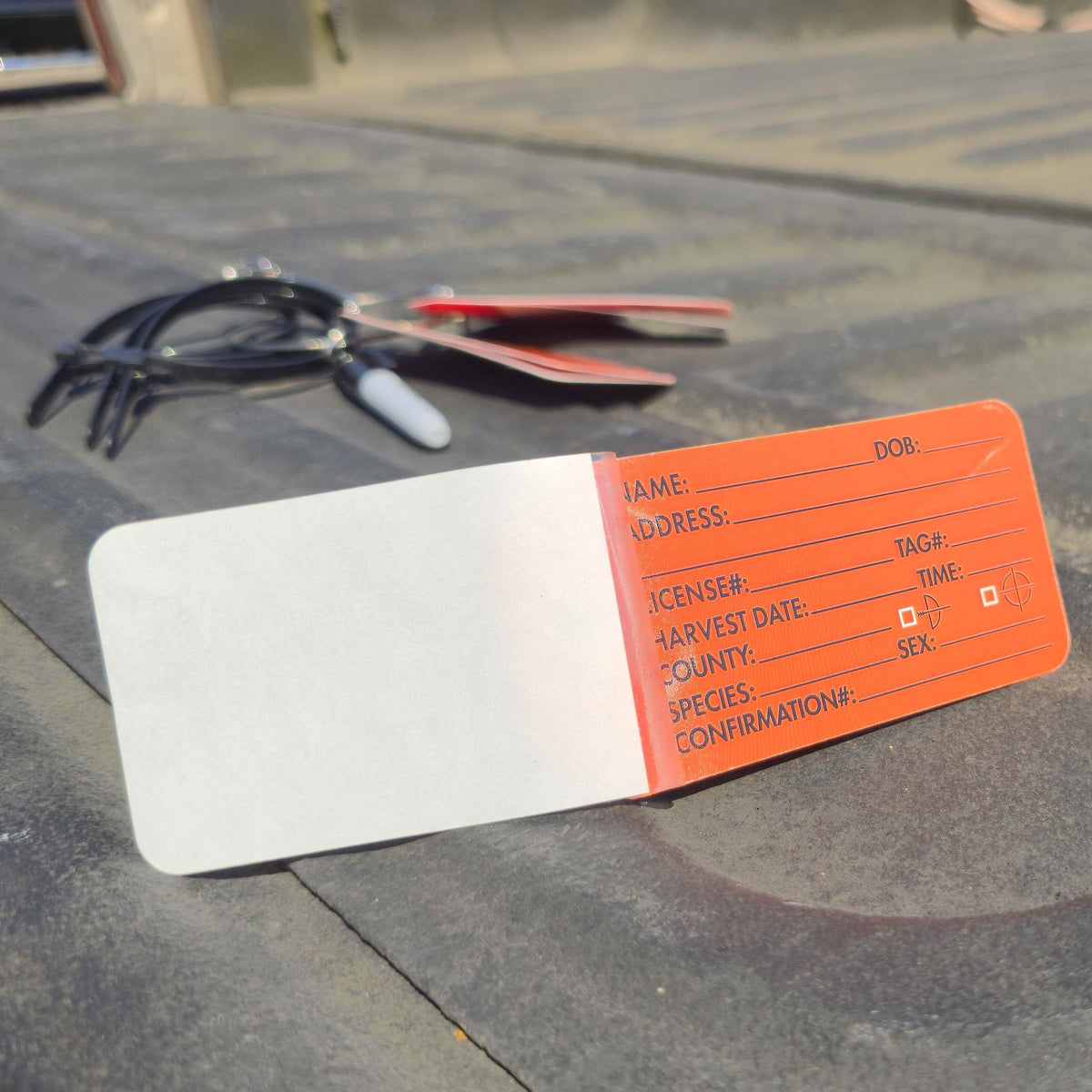 How to Store Hunting Tags Without Losing or Ruining Them